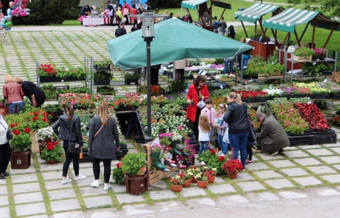 Ljetnice i trajnice za balkon ili terasu potražite na vikend sajmu ...